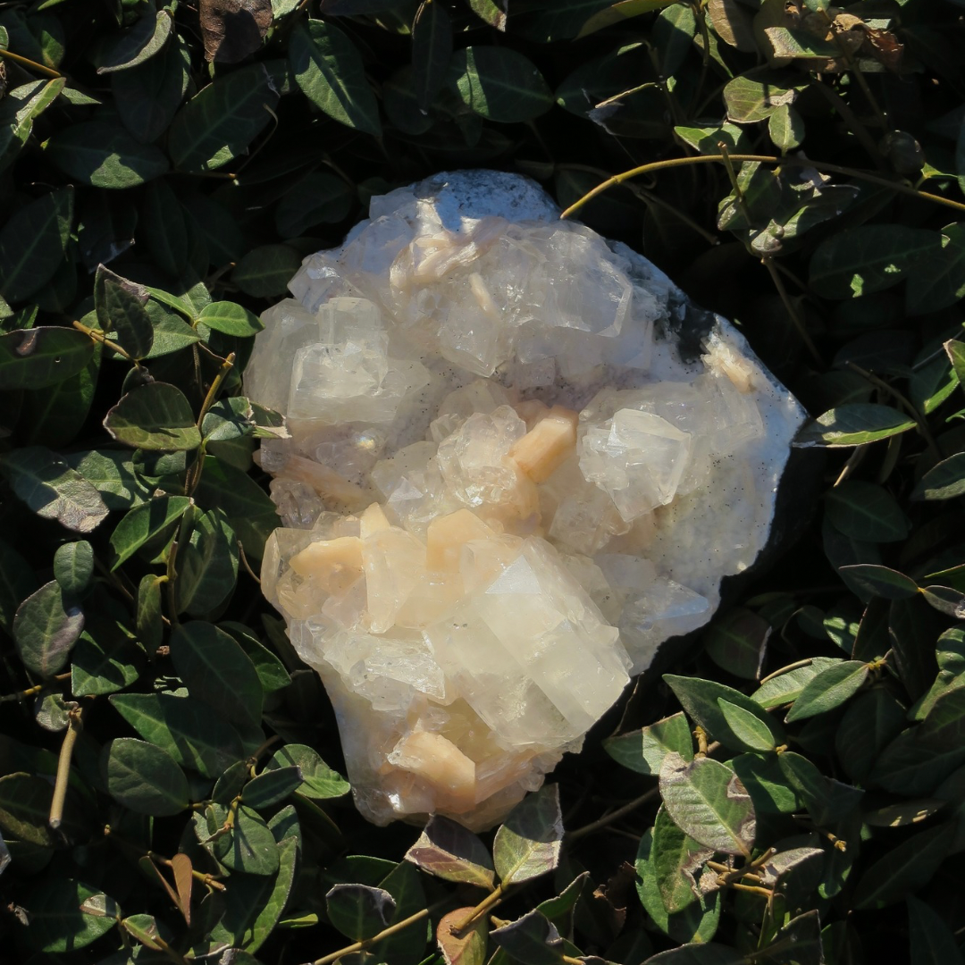 *NEW Apophyllite Cluster - RH02 – Rose Harvest